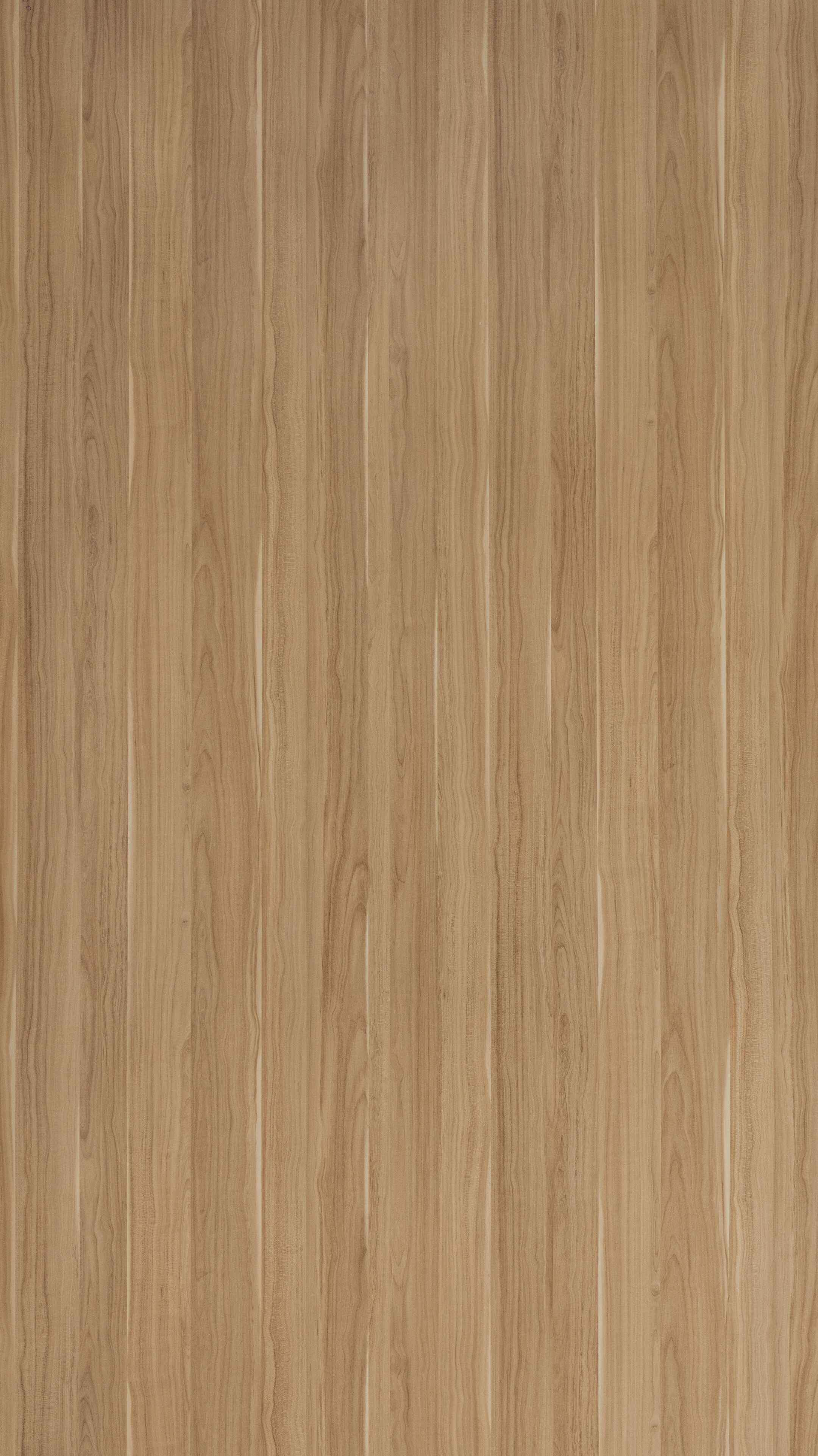Stylam | Curley Maple