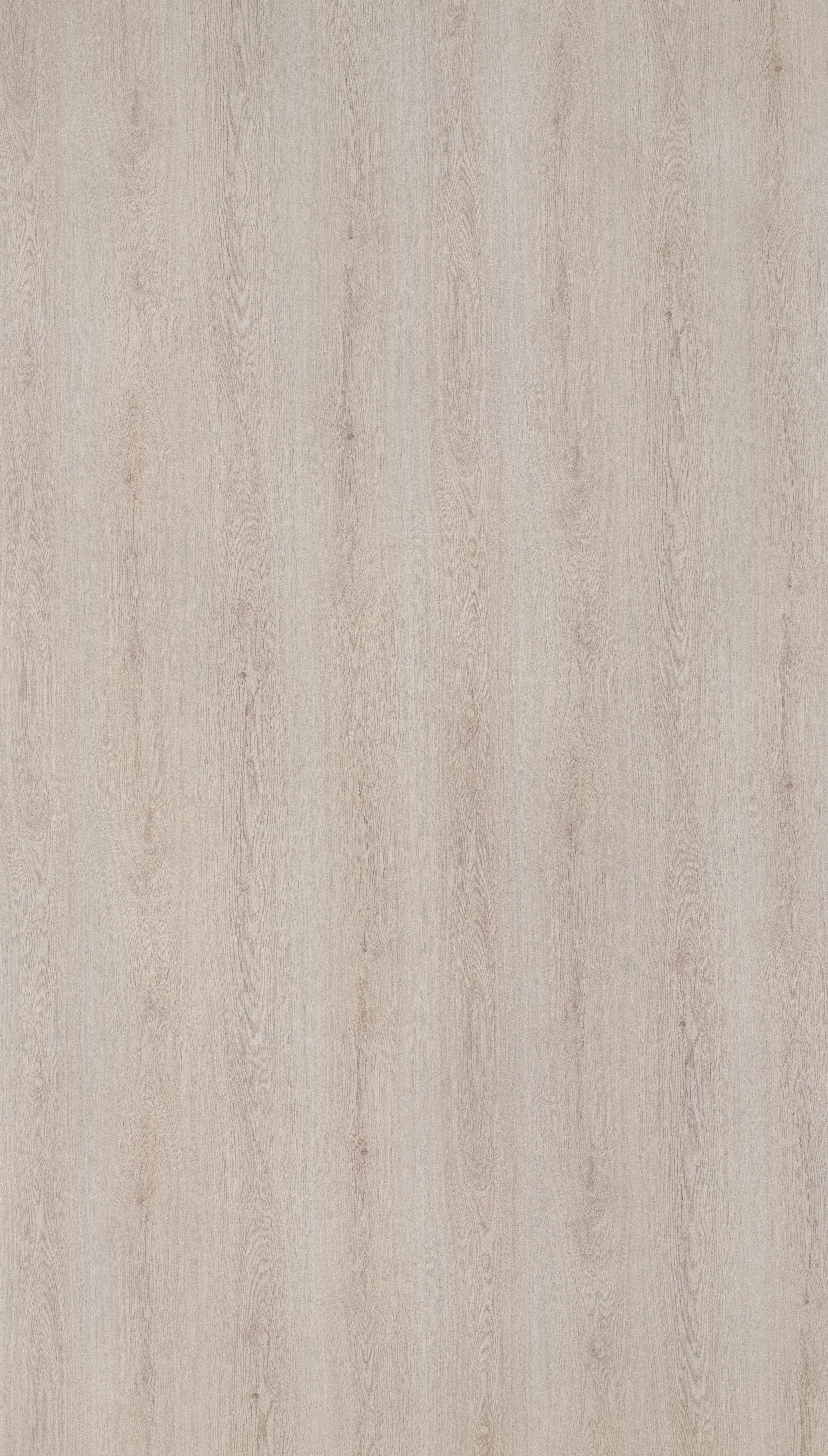 Stylam | Wild Oak