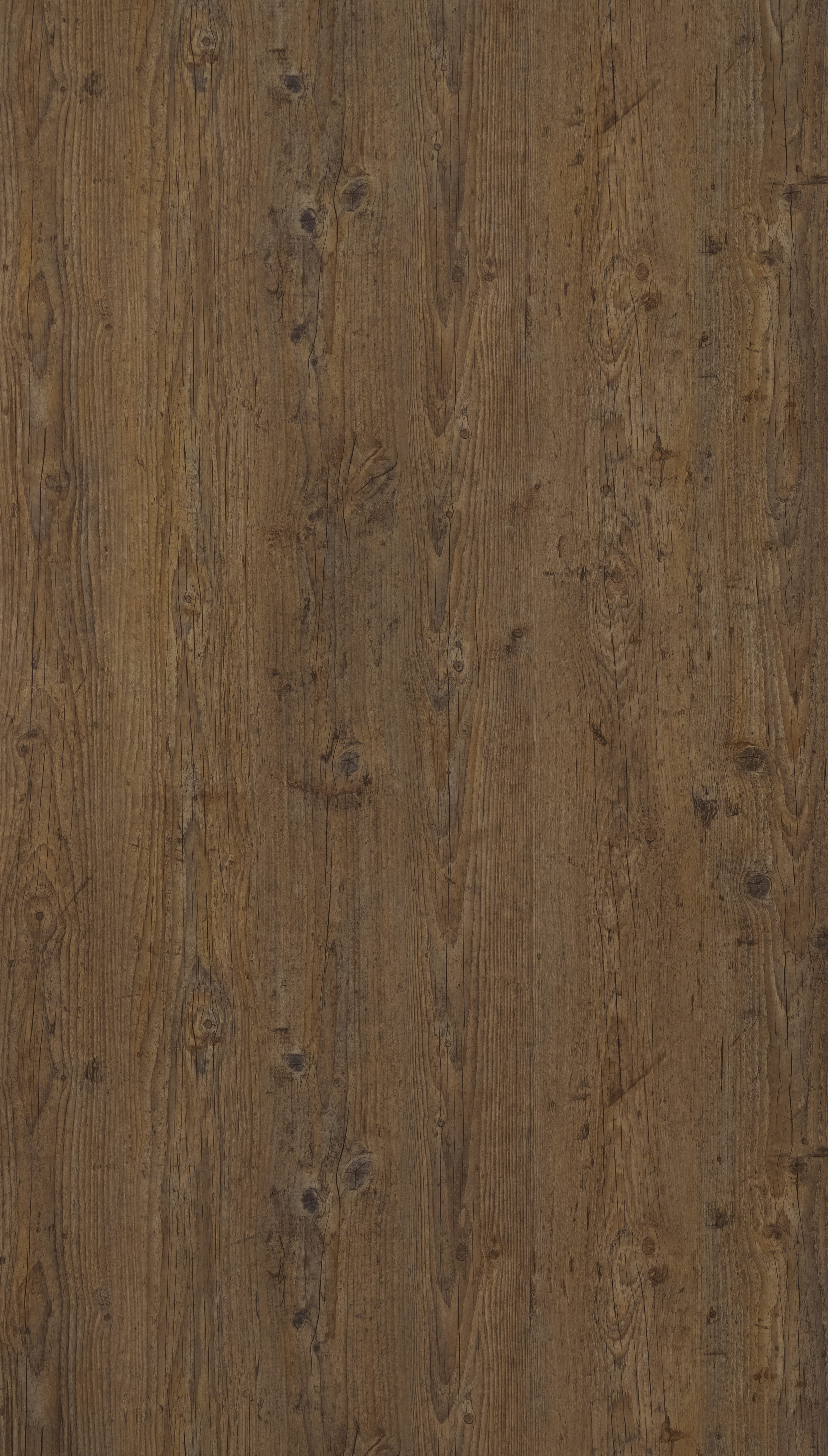 Stylam | Akhrot Teak