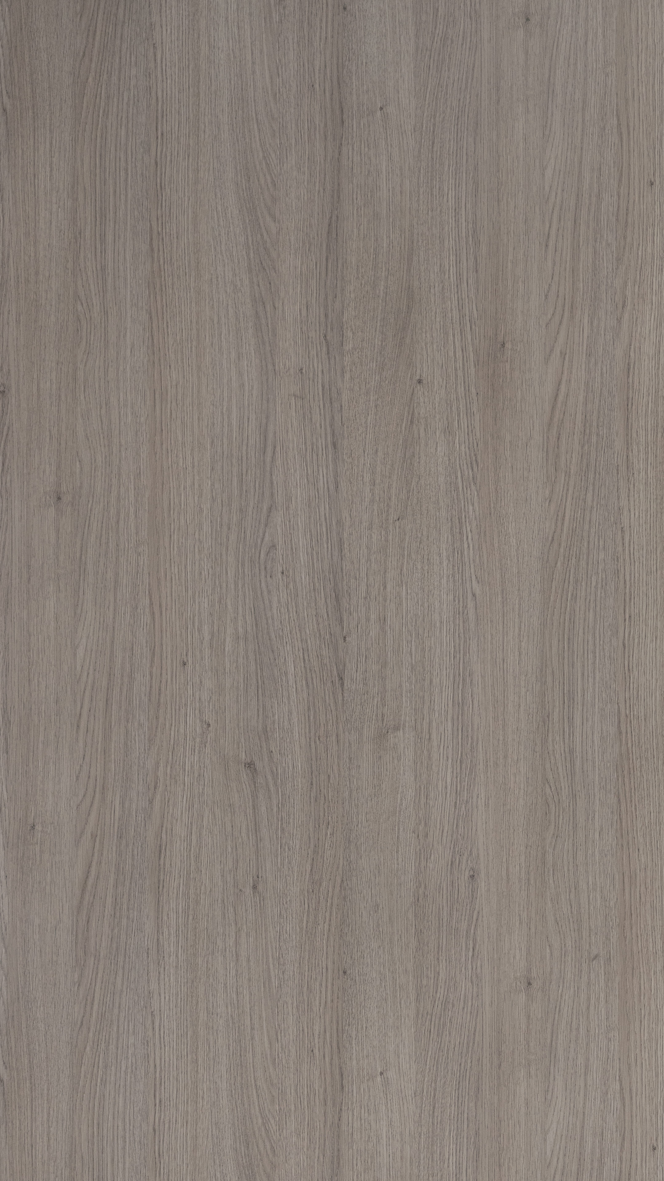 Stylam | Clover Oak