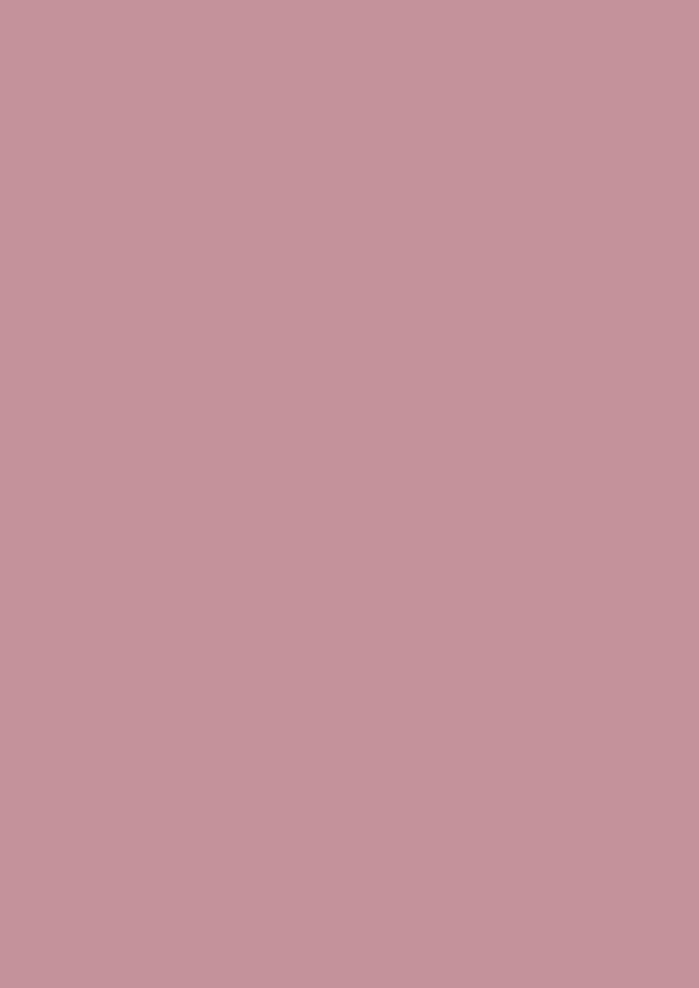 Stylam | Pink Salmon