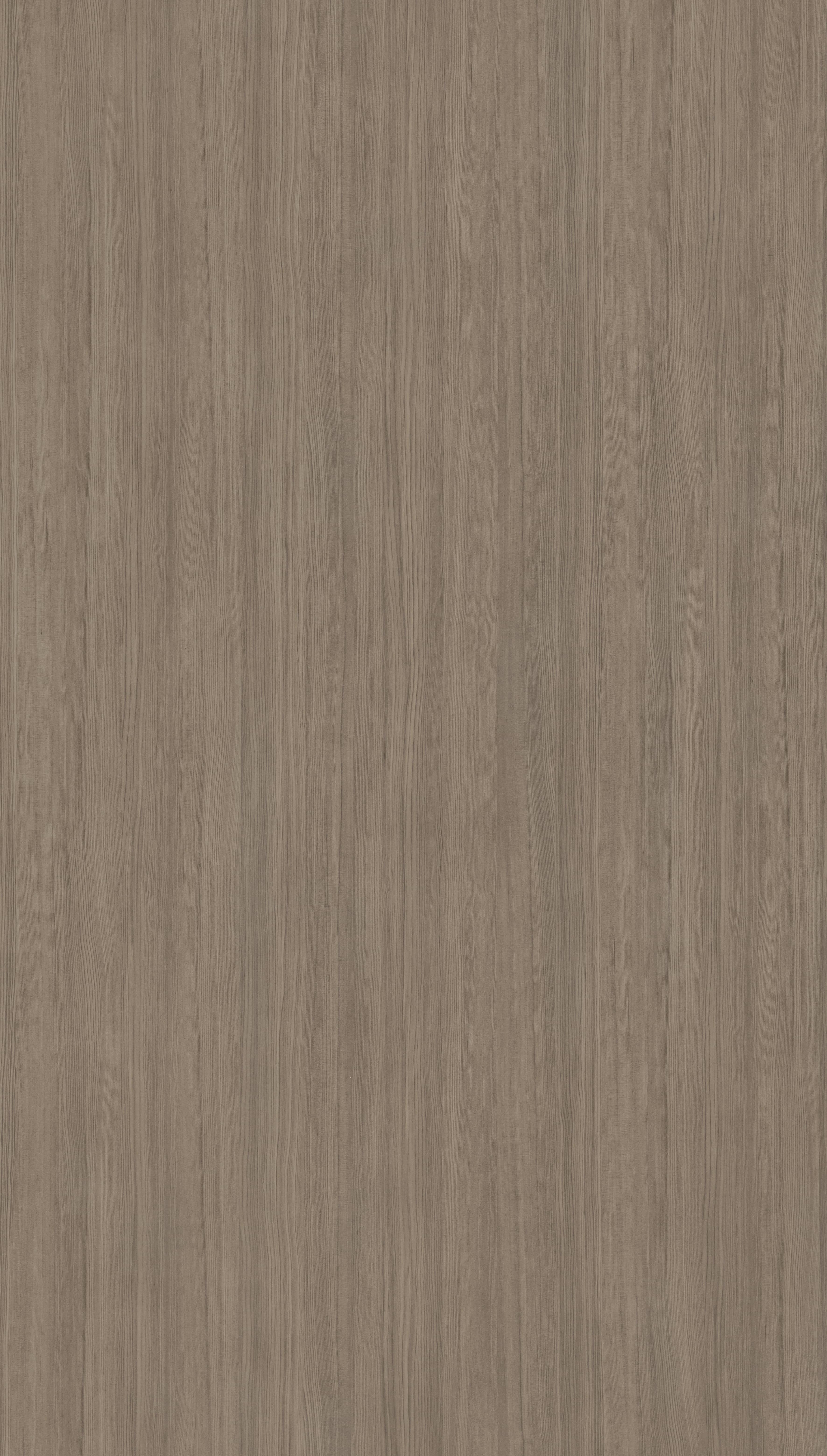 Stylam | Elite Grains
