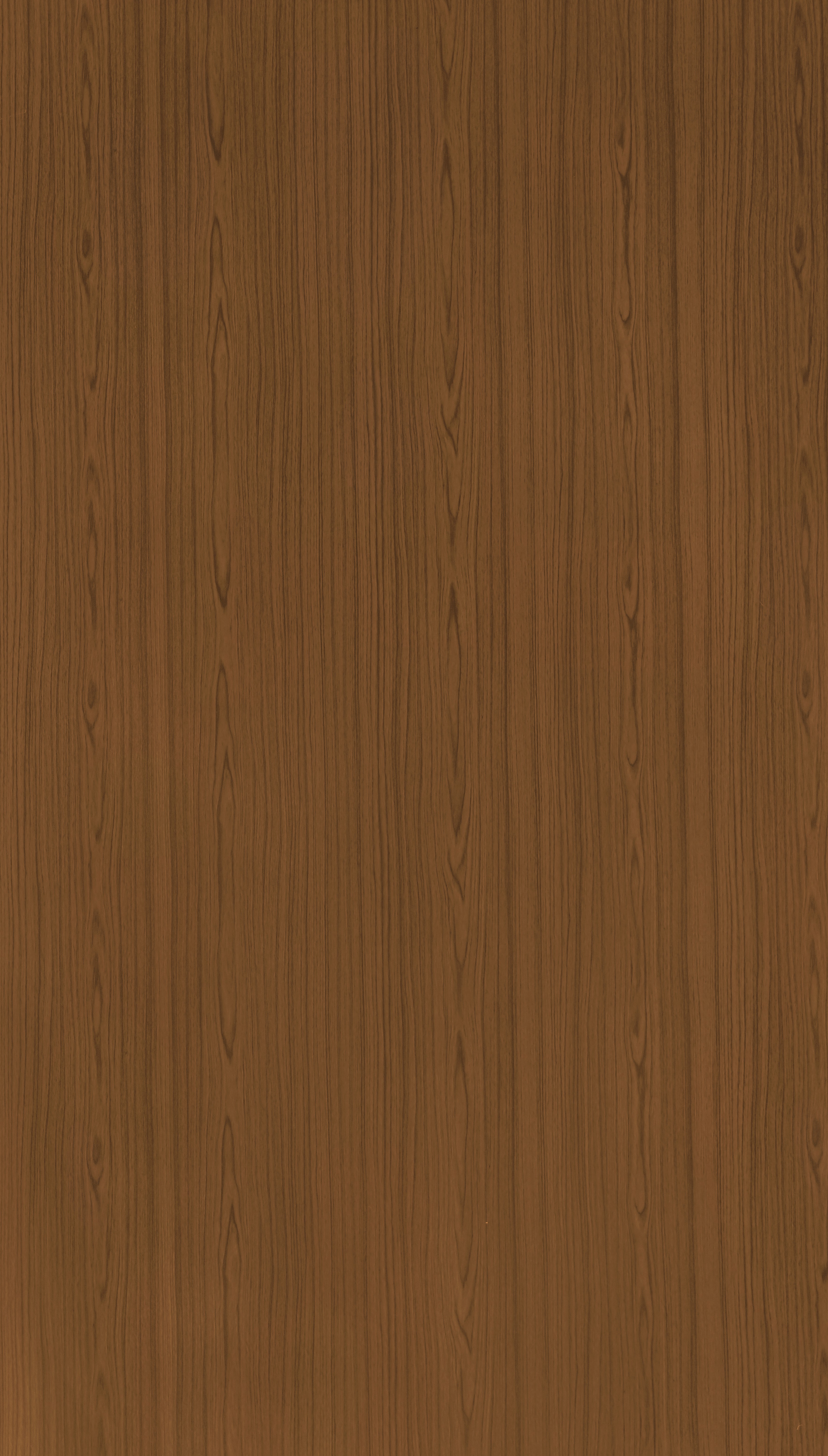 Stylam | Naina Teak