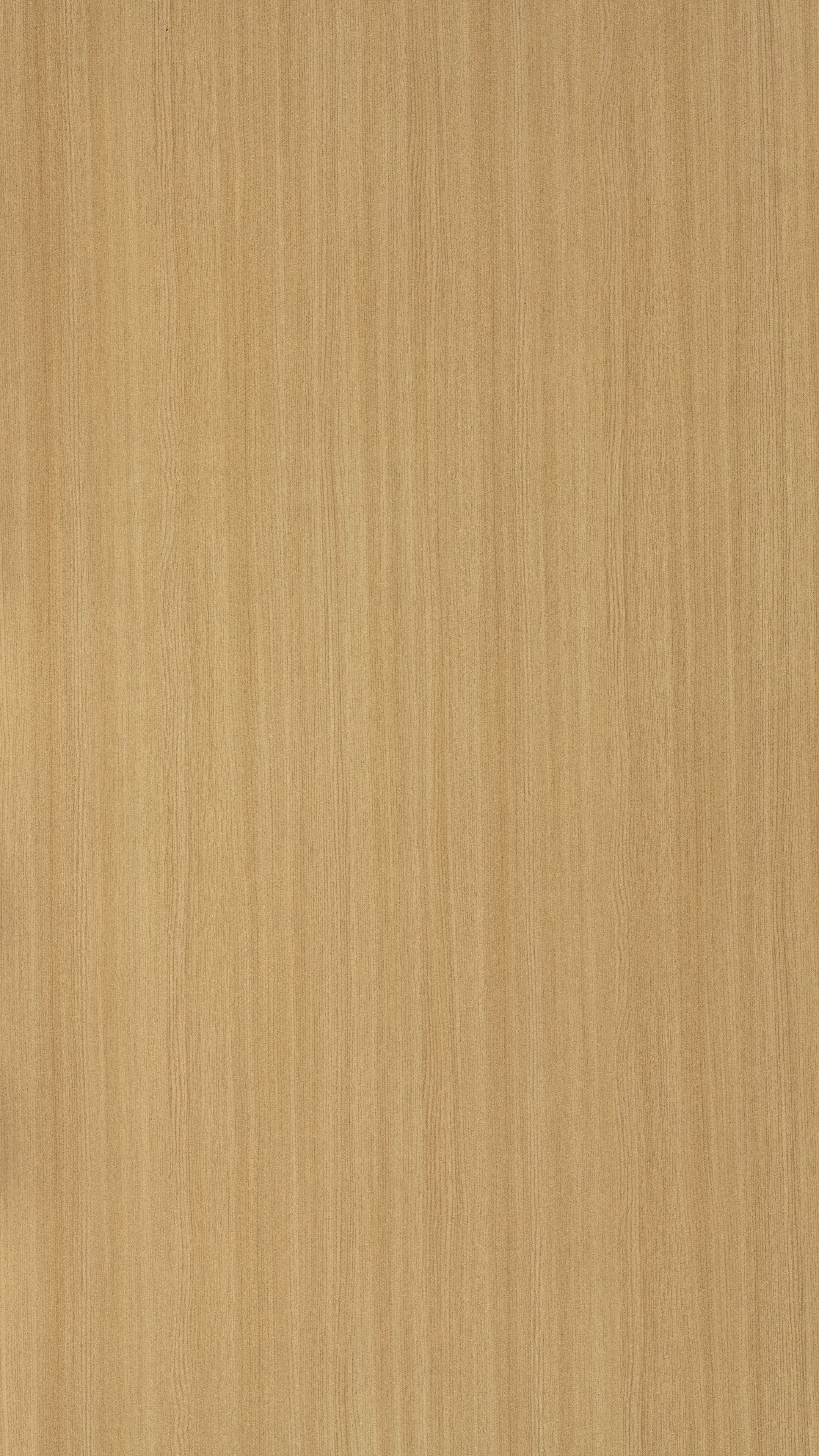Stylam | Indian Oak