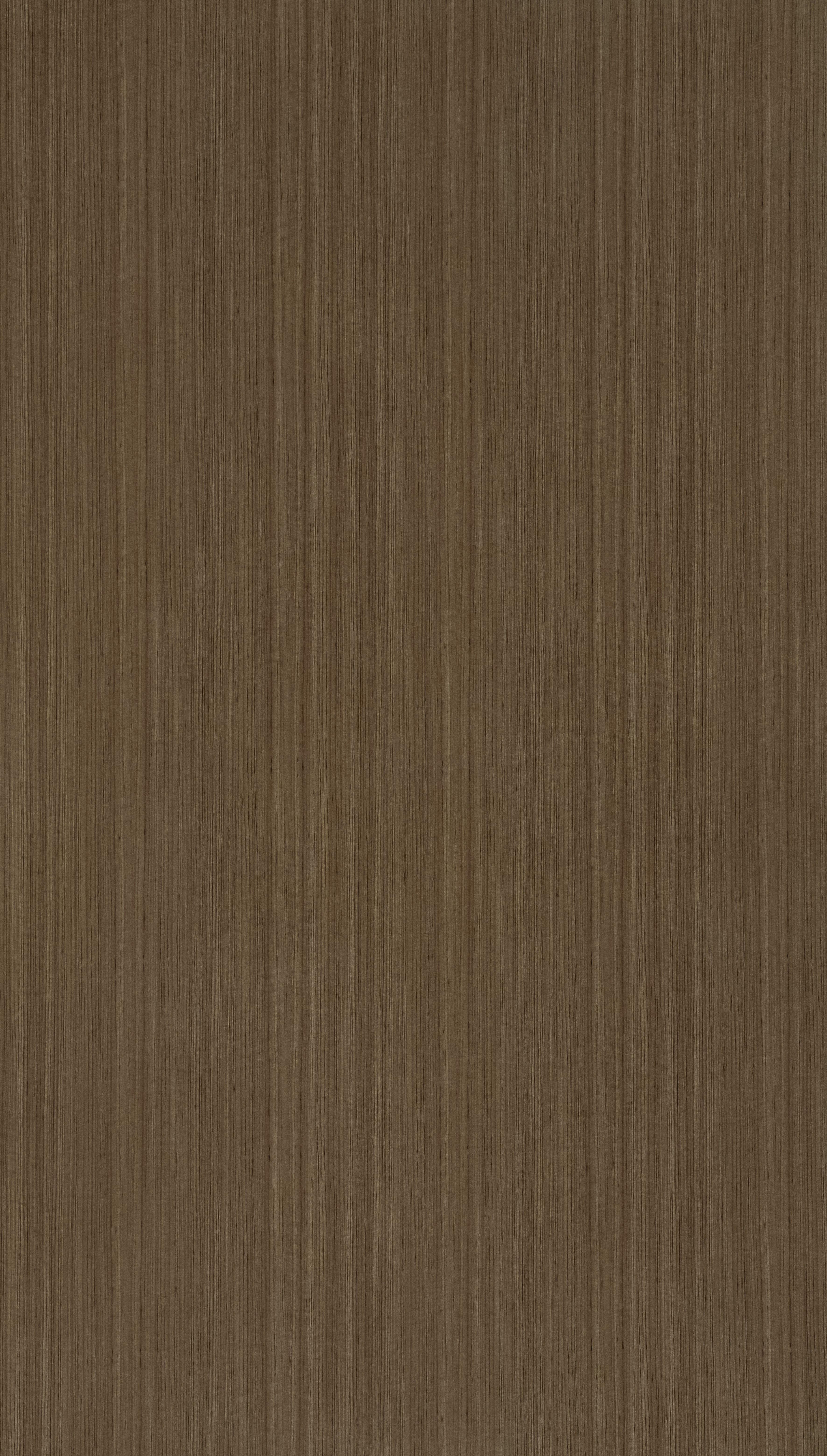 Stylam | Lionet Teak