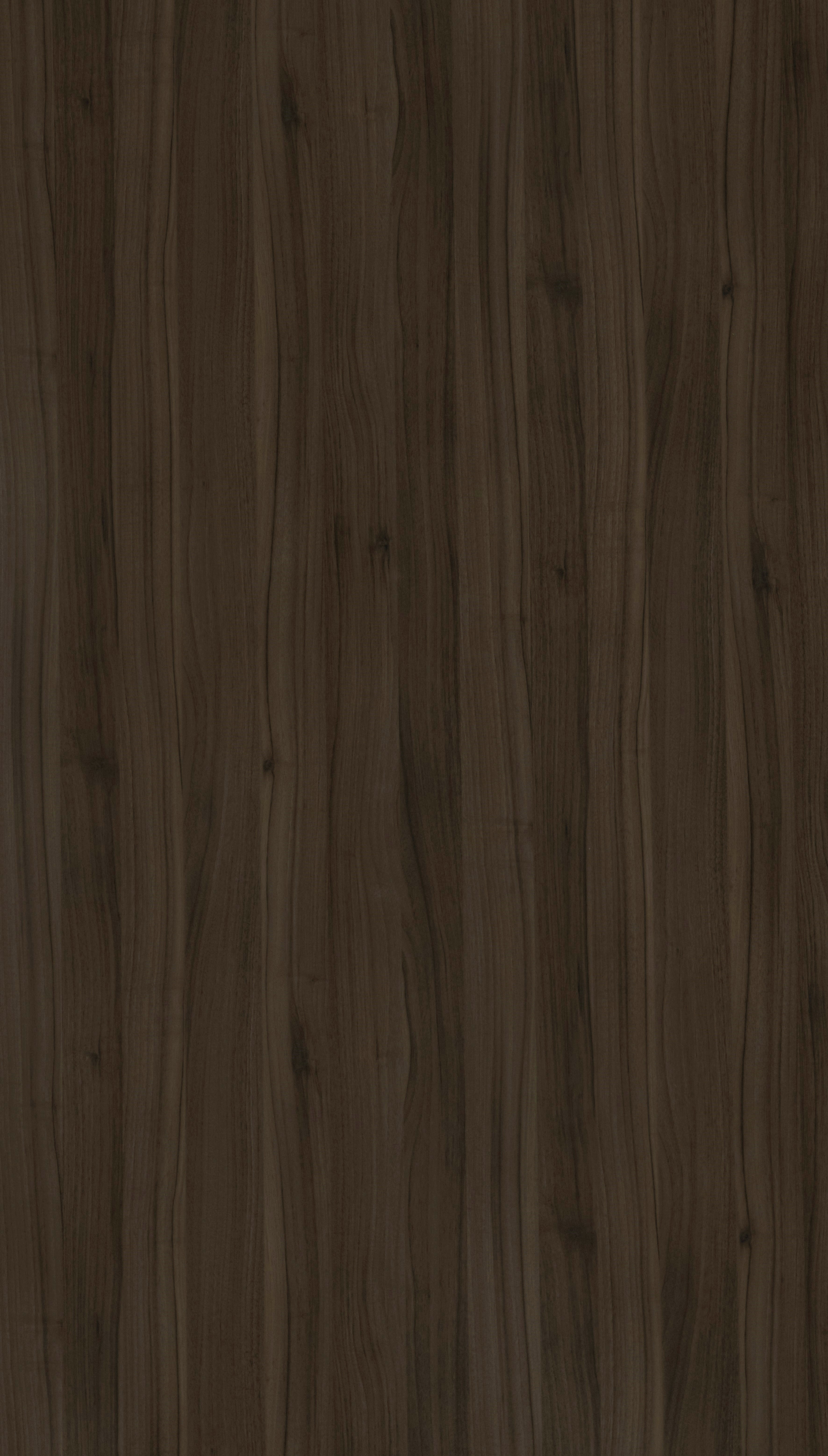 Stylam | Walnut Bronze