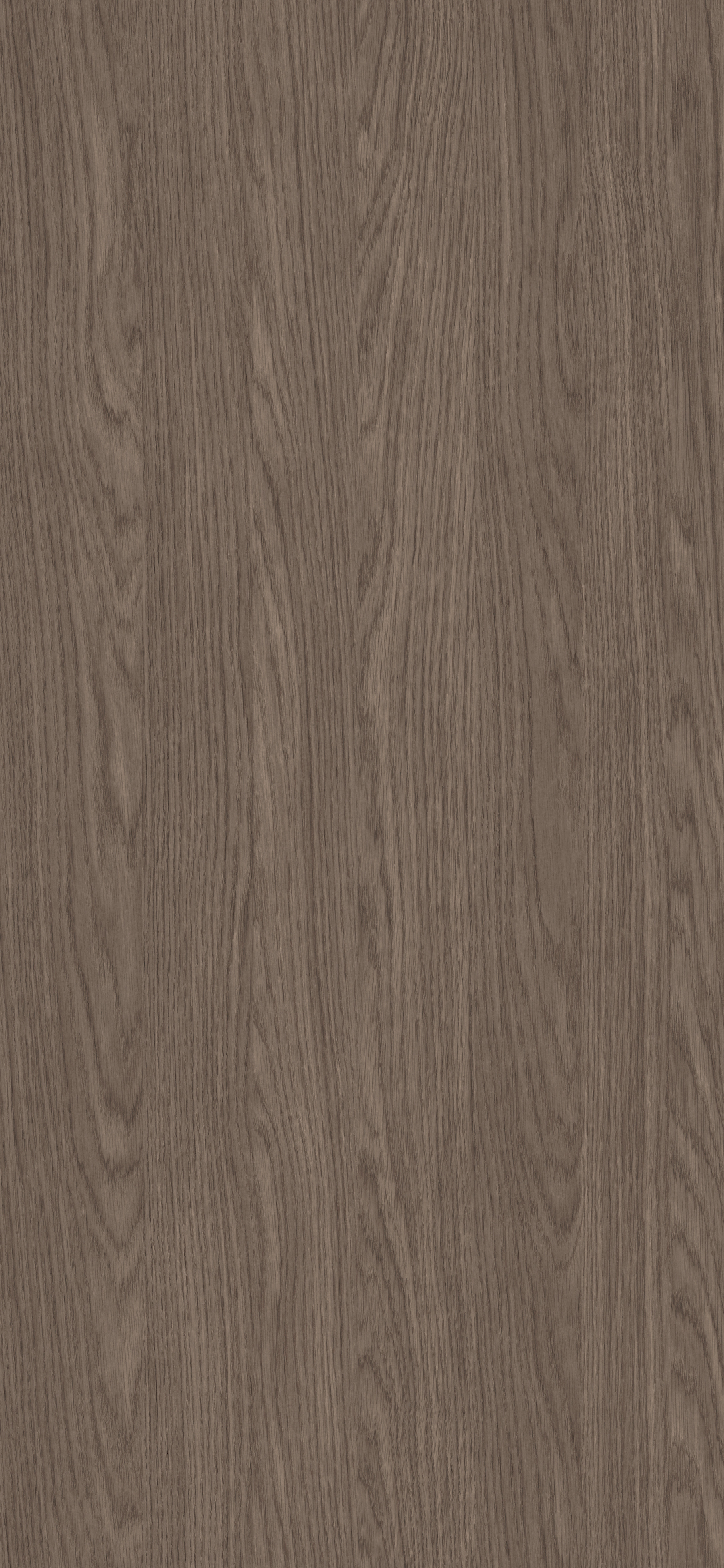 Earth Ash